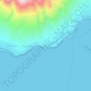 Larantuka topographic map, elevation, terrain